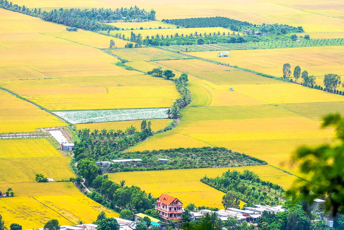 Mekong-Delta 2024 | 11 Sehenswürdigkeiten & Reiseführer