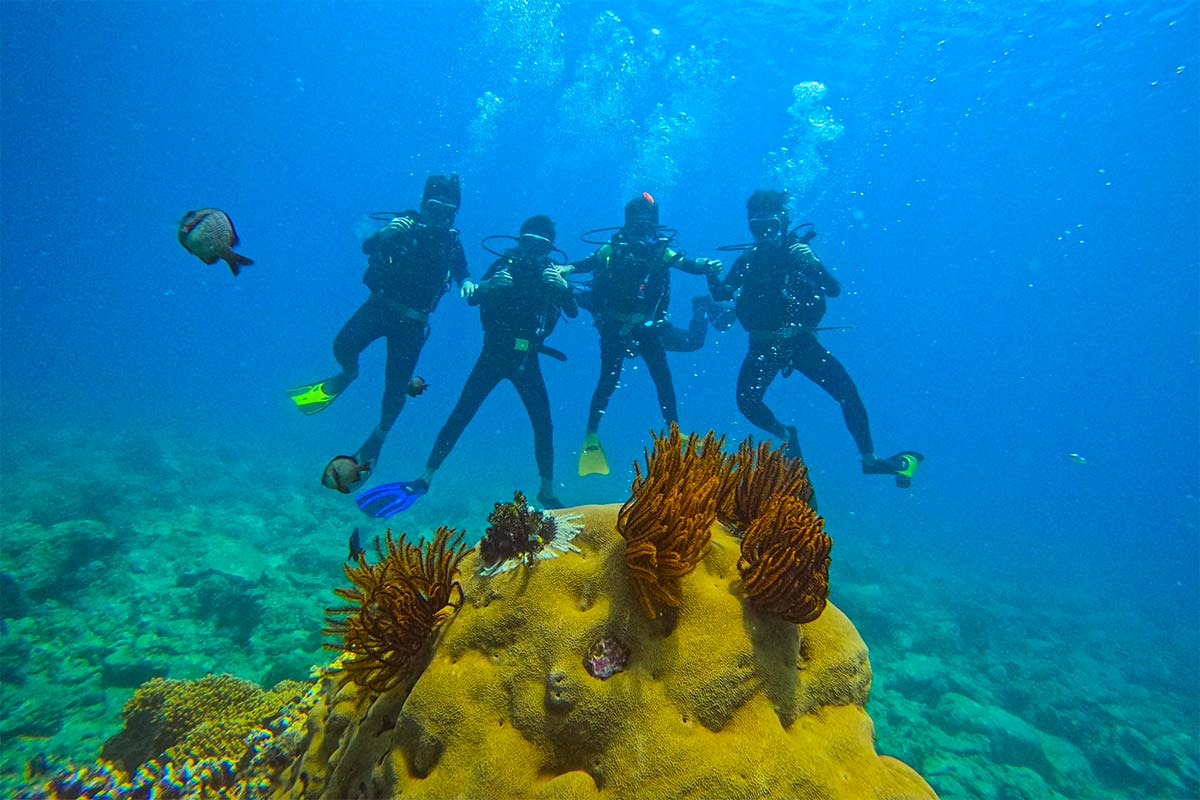 Tauchen in Vietnam: Die 5 beste Orte und Tauchsaison - localvietnam.de