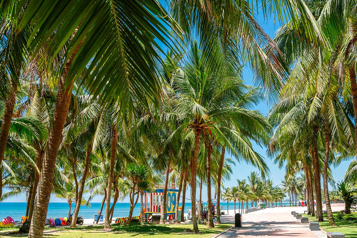 7 schönsten Strände in Da Nang – Beliebt & abseits der Touristenpfade